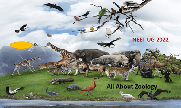NEET UG 2023 – Complete Zoology Syllabus